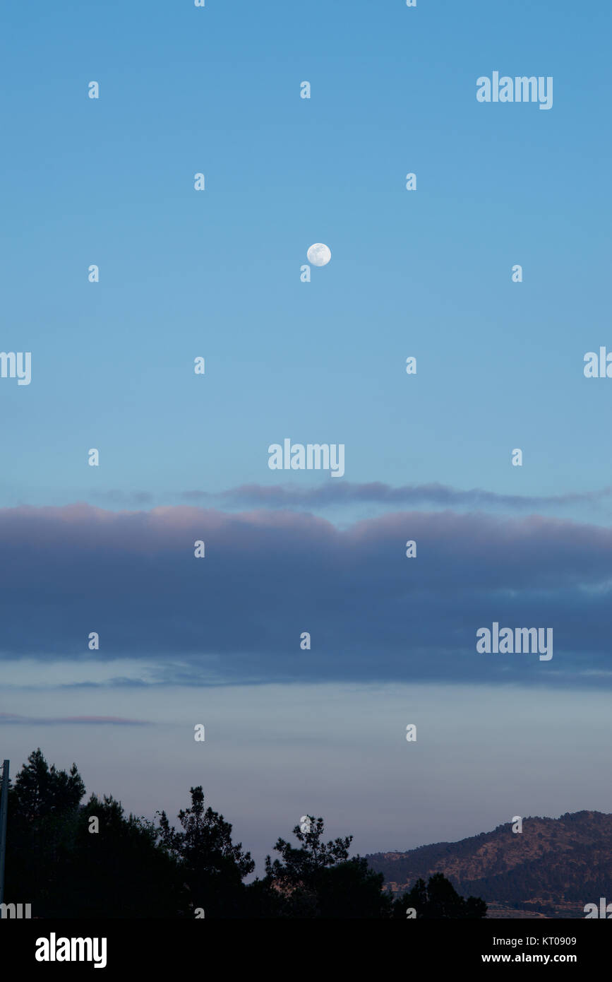 Full moon in the evening sky Stock Photo - Alamy