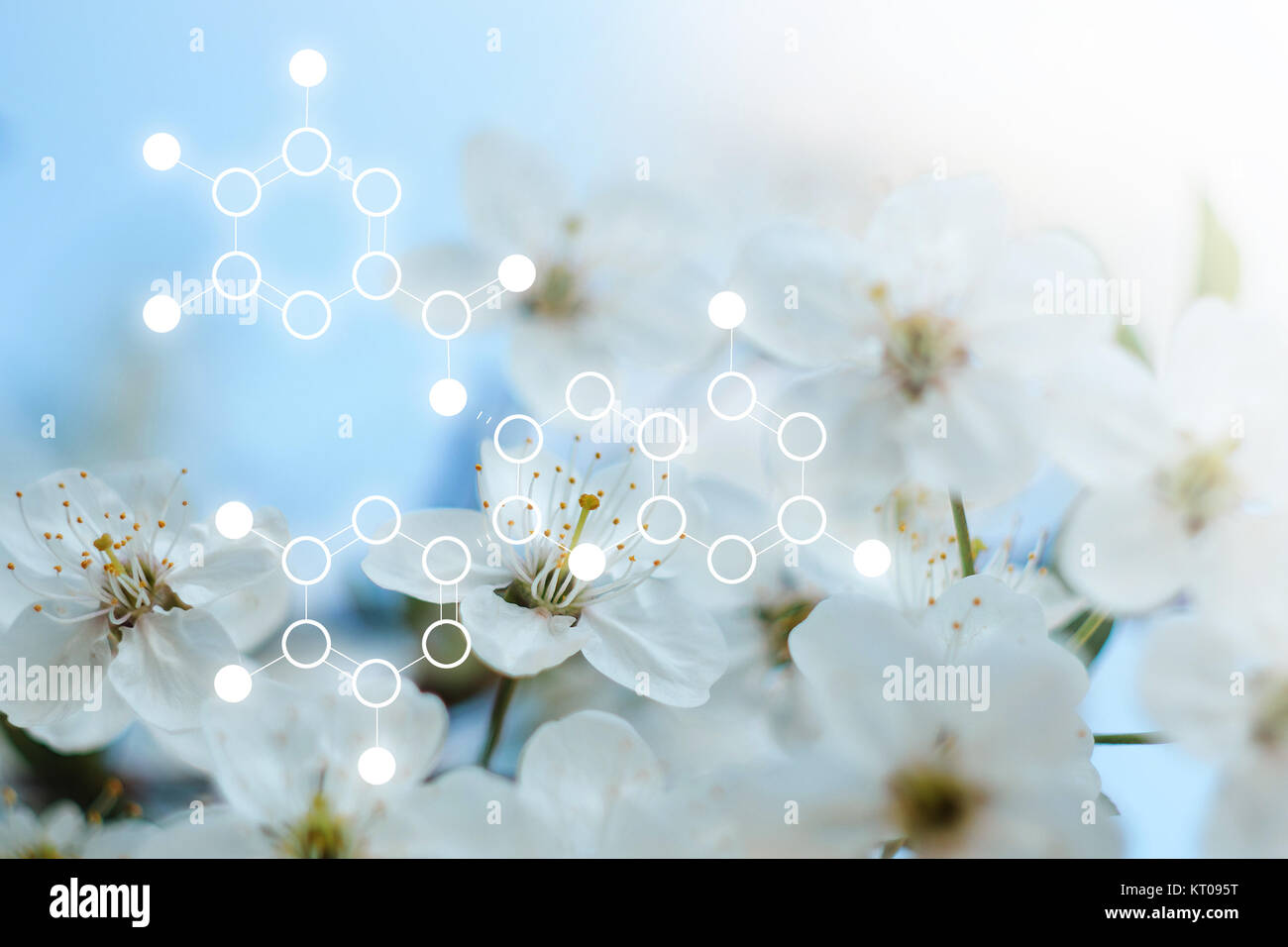 Molecules on a background of flowers and plants. Scientific abstract ...