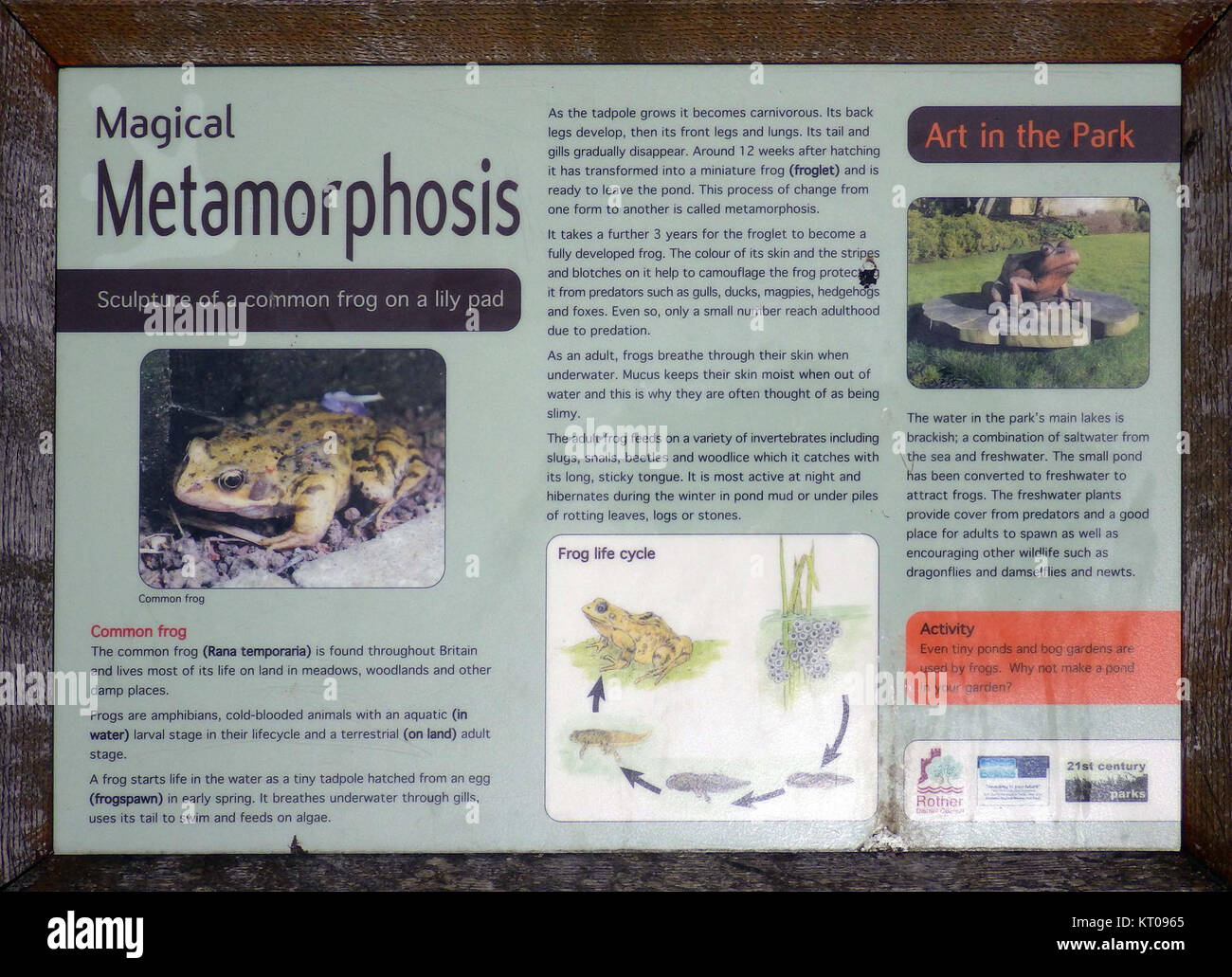 The 'Art in the Park - Metamorphosis' information board in Bexhill-on ...