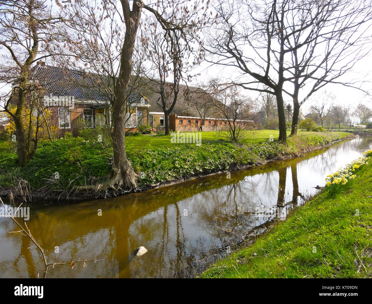 Arwerd appears to be a name or term without specific context or description provided. Without ...