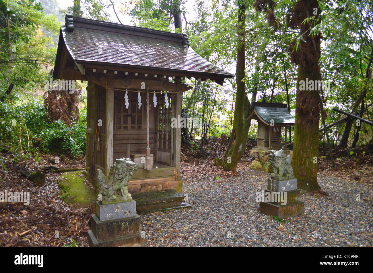 Asakura Shrine, located in Kochi, Japan, is known for its significant ...