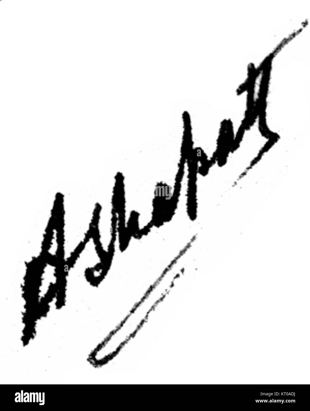 Ashapatti Tamrakarâ€™s signature represents a personal mark of ...