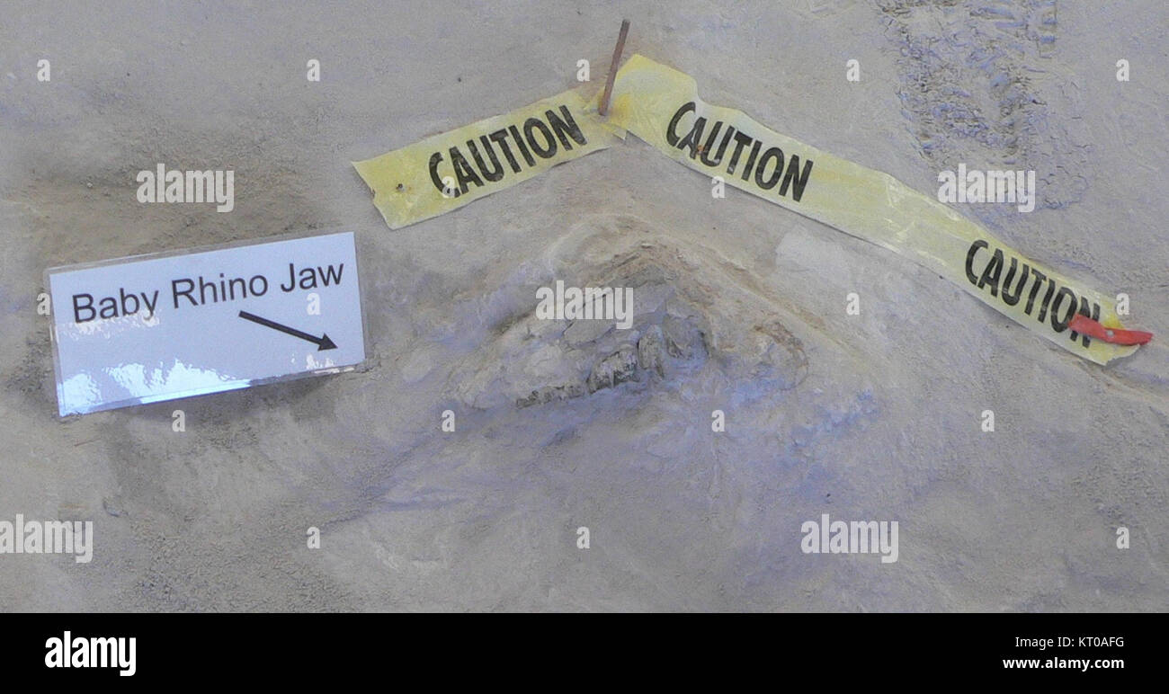 The Ashfall Fossil Beds in Nebraska are known for preserving well ...