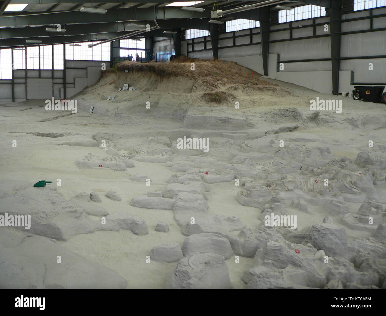 The Ashfall Fossil Beds in Nebraska are a significant paleontological ...