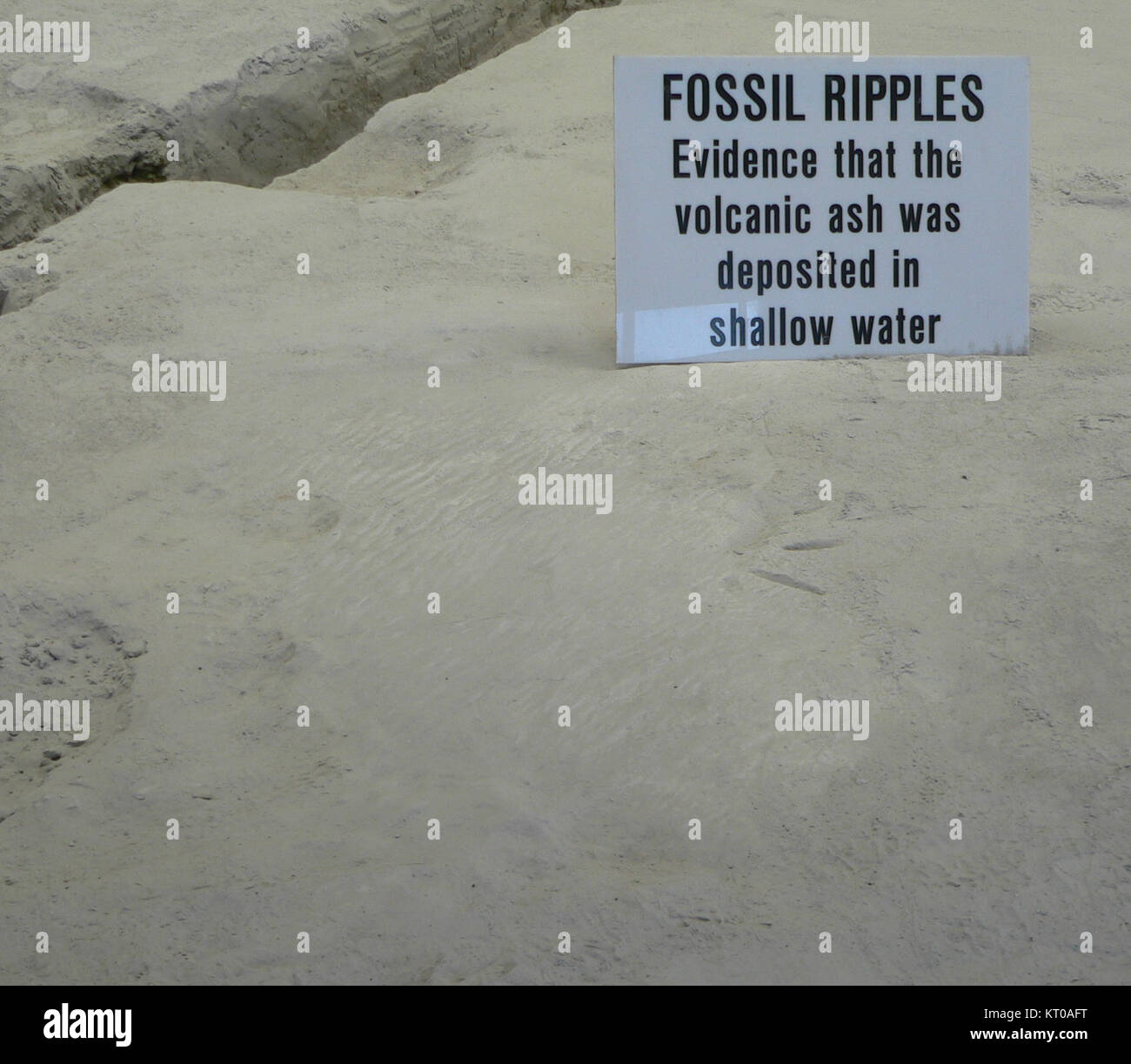 The Ashfall Fossil Beds are a significant paleontological site where ...