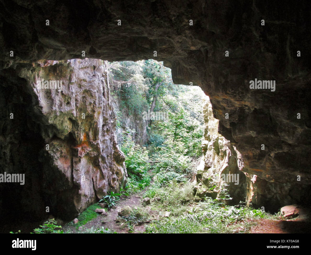 Ashhole Cavern, located near Brixham in the UK, is a notable cave known ...