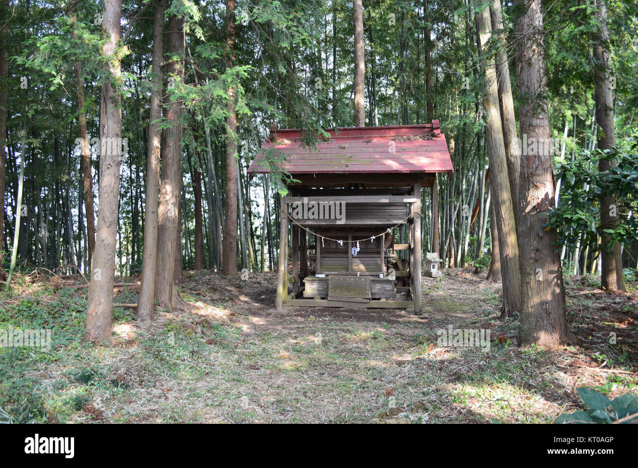 Ashimayama Kofun is a key archaeological site in Japan, known for its ...