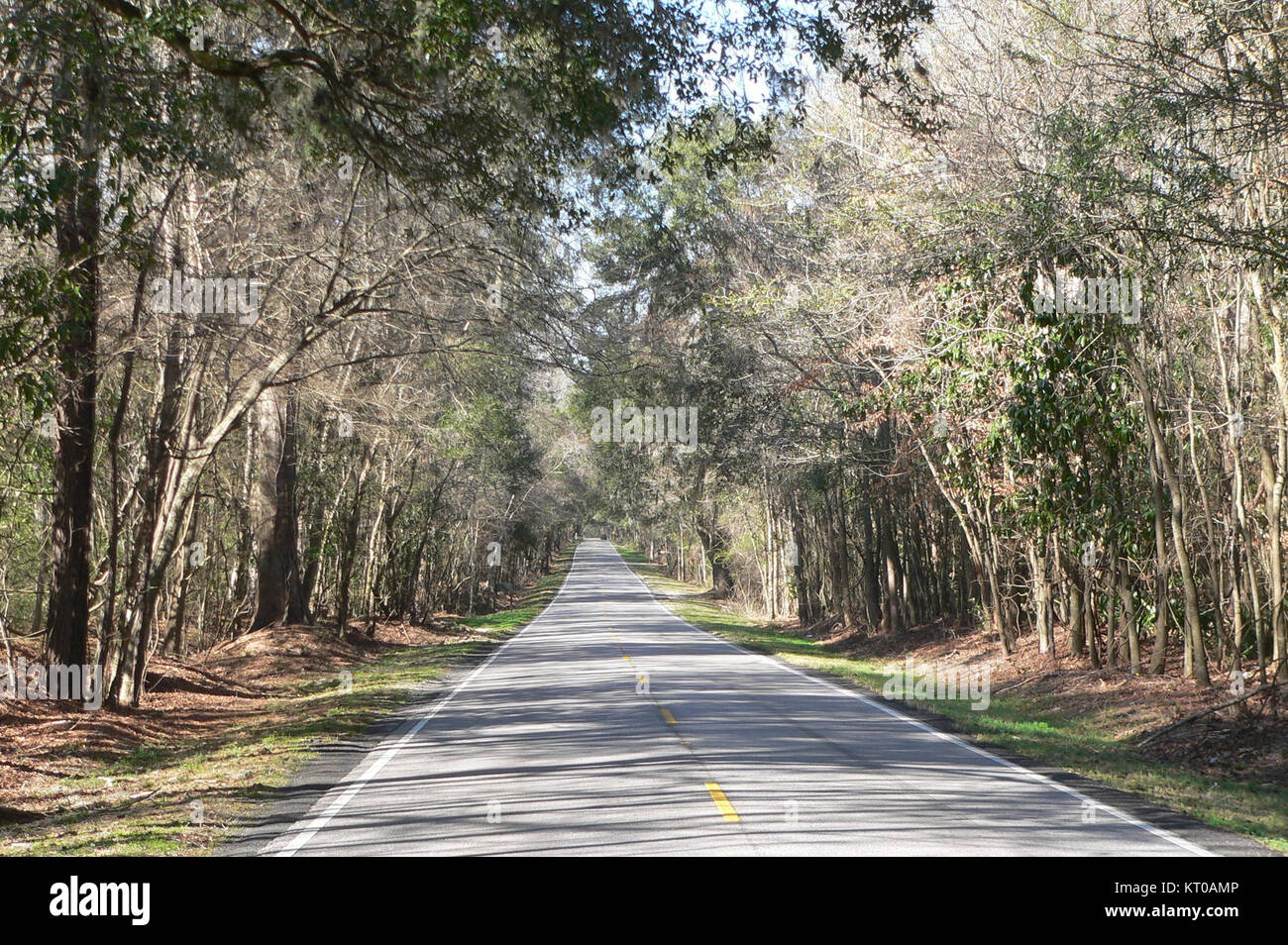 Ashley River Road High Resolution Stock Photography and Images - Alamy