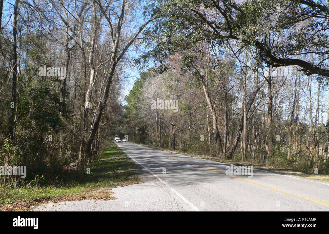 Ashley River Road High Resolution Stock Photography and Images - Alamy