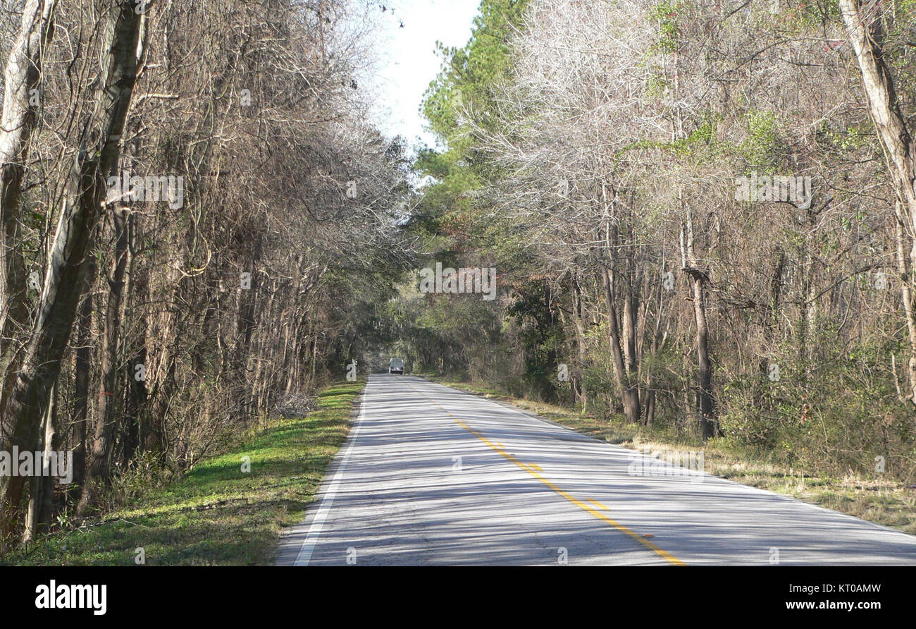 Ashley river road hi-res stock photography and images - Alamy