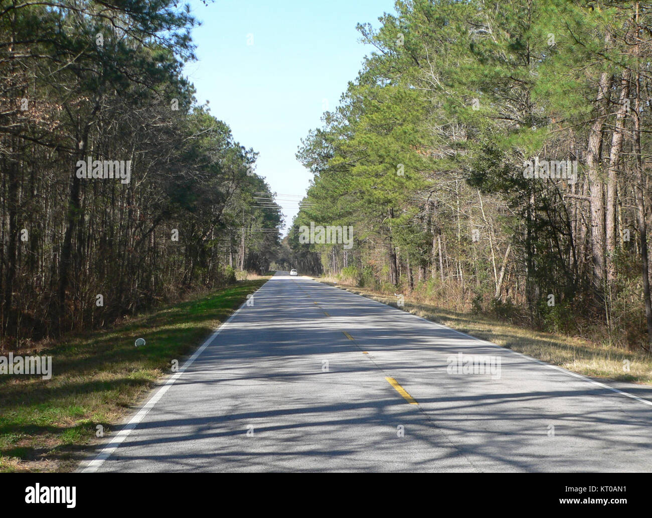 Ashley River Road is a historic route located in South Carolina, known ...