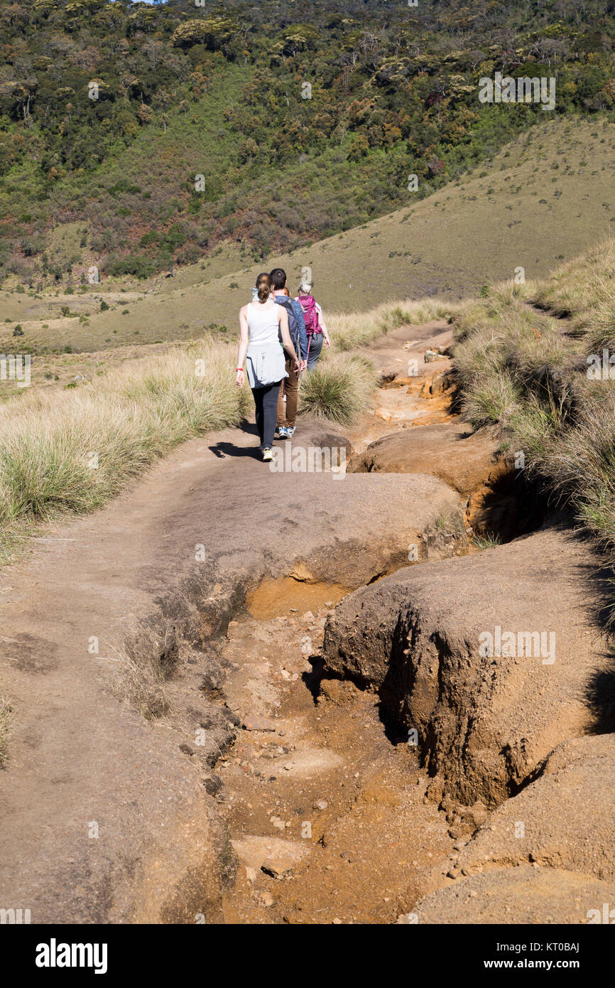 Walkers in Horton Plains national park montane grassland environment ...