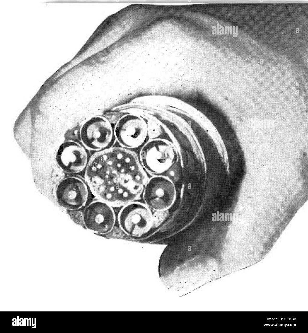 This image shows the AT&T coaxial trunkline, an important ...