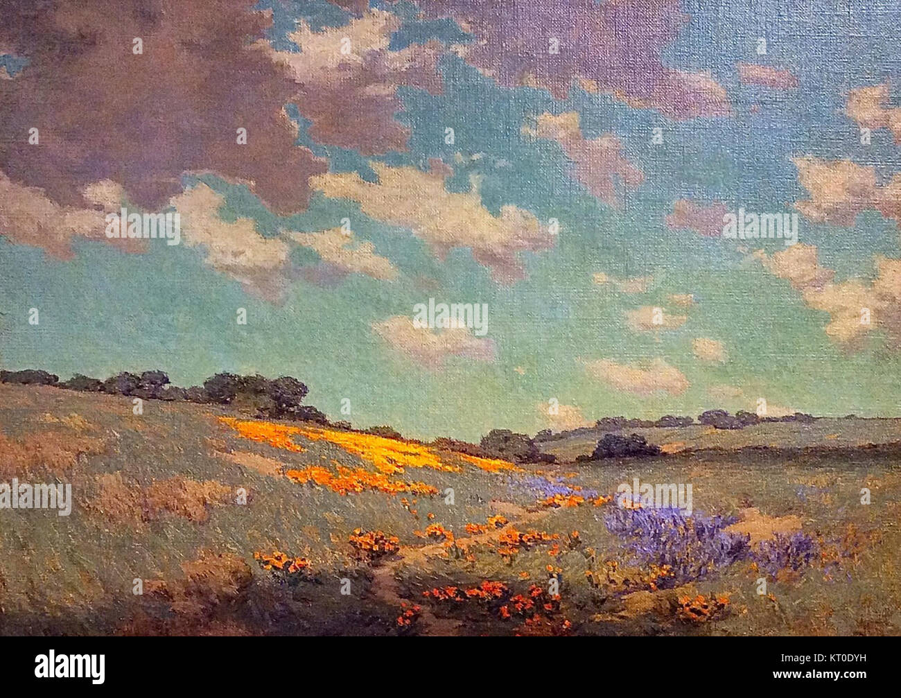 'Patch of Poppies' is a 1912 painting by Granville Redmond, known for ...