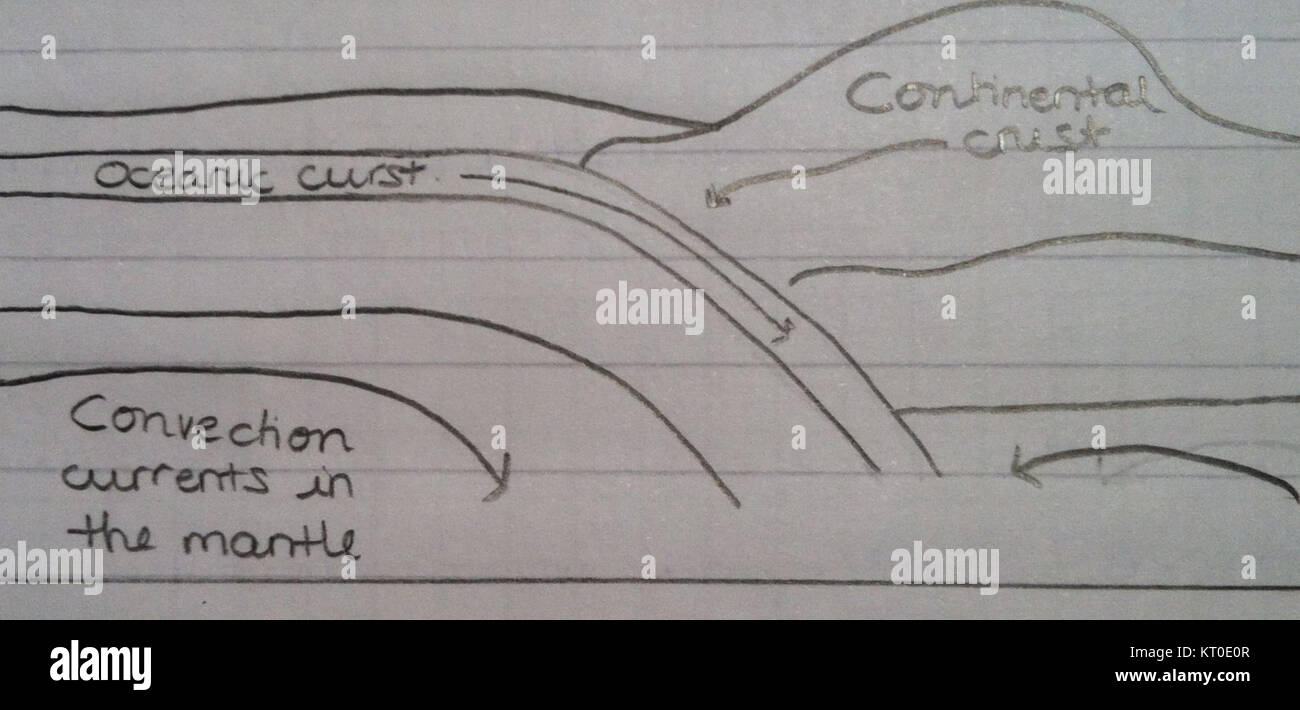 Basal plates hi-res stock photography and images - Alamy