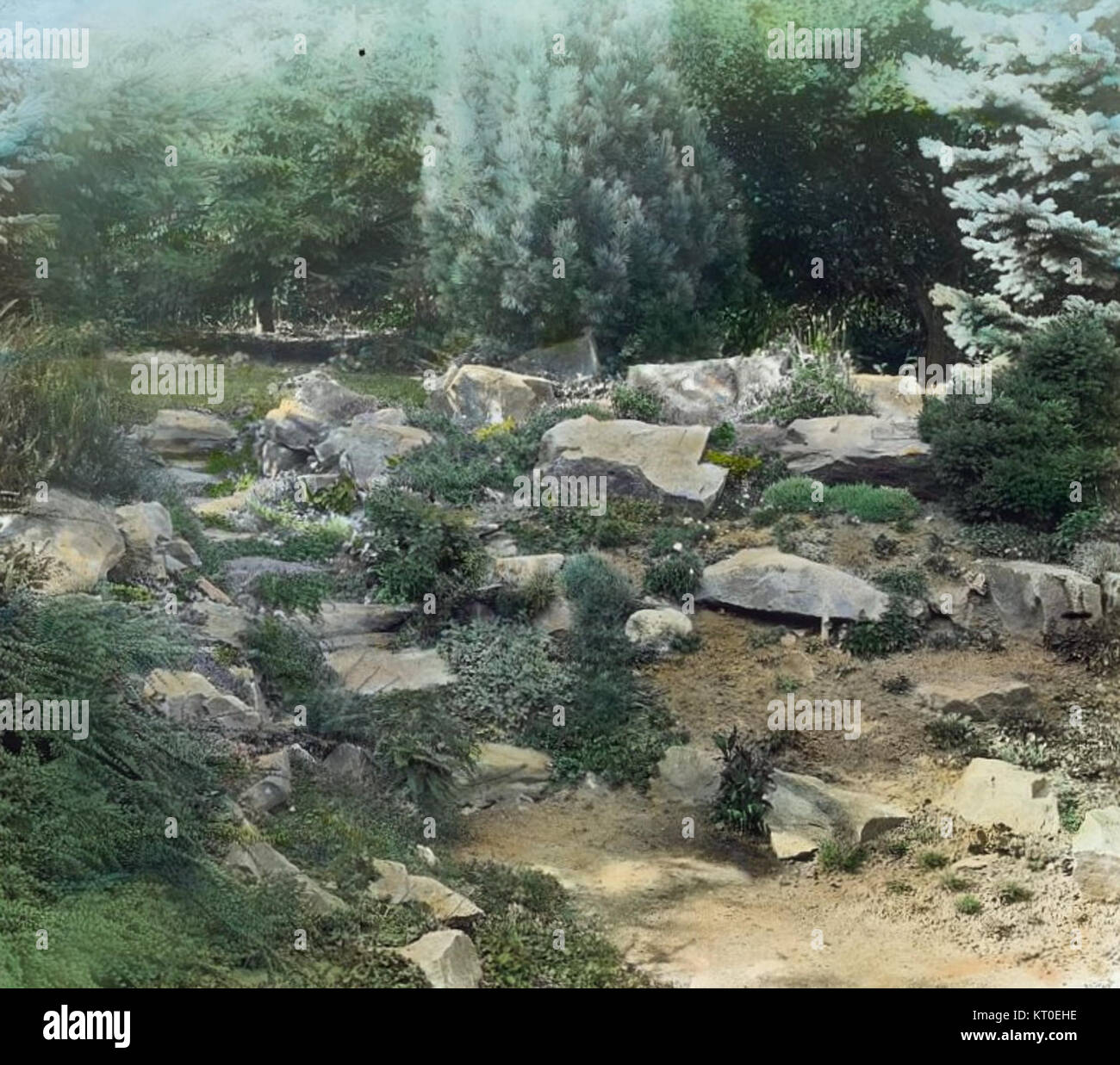 Robert butchart hi-res stock photography and images - Alamy