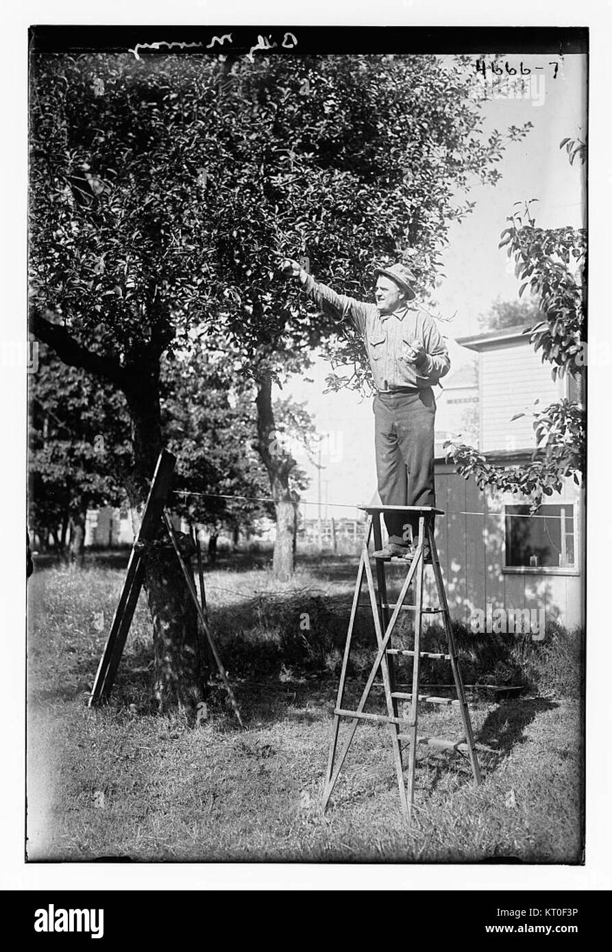 American singer an actor Cut Out Stock Images & Pictures - Alamy