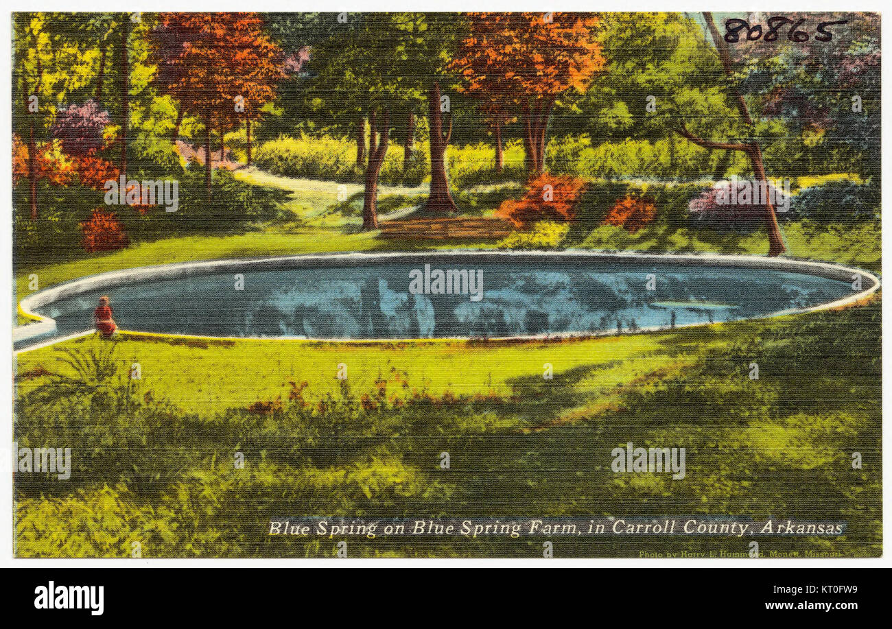 Blue Spring on Blue Spring Farm is a natural spring in Carroll County ...