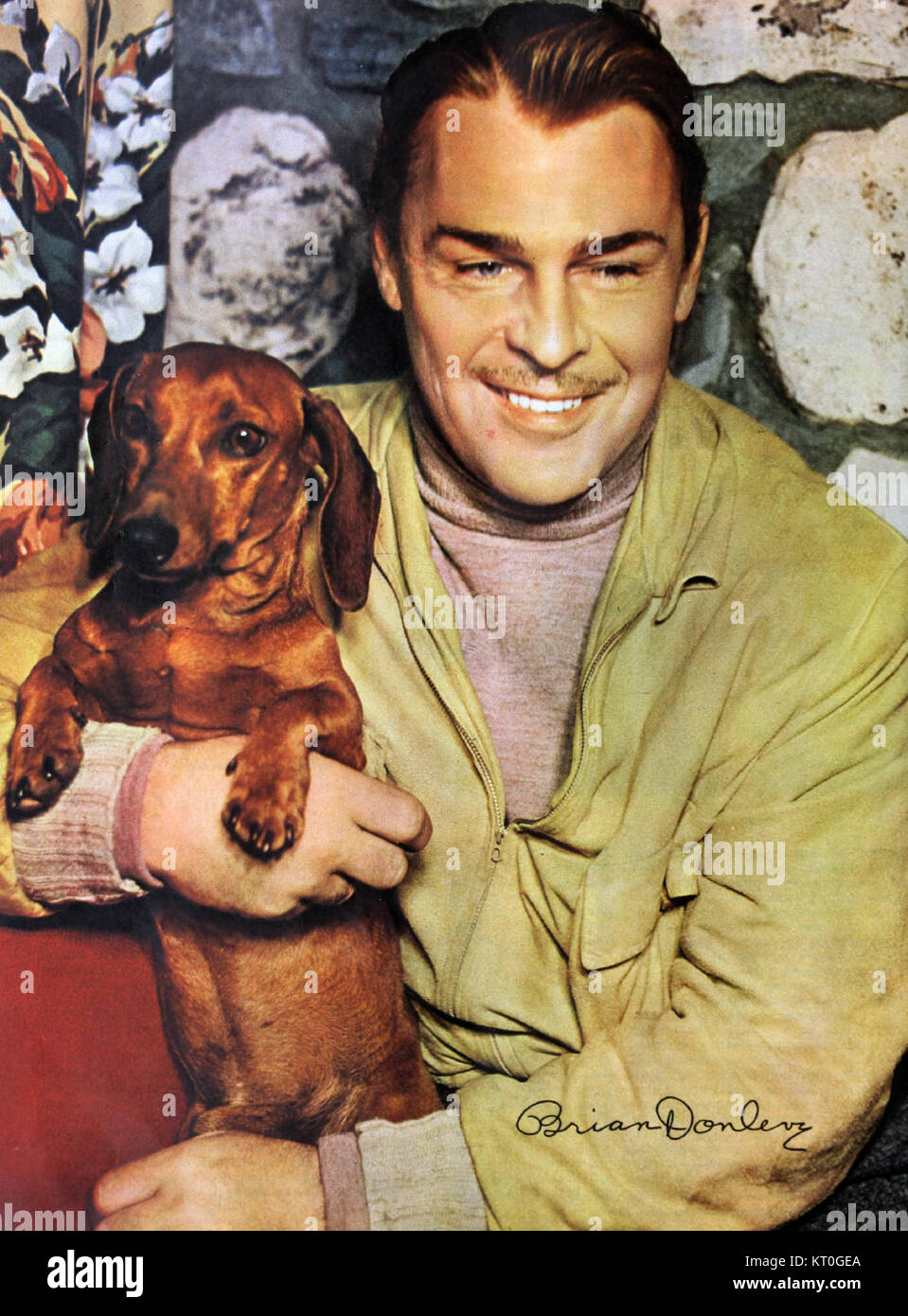 Brian donlevy hi-res stock photography and images - Alamy