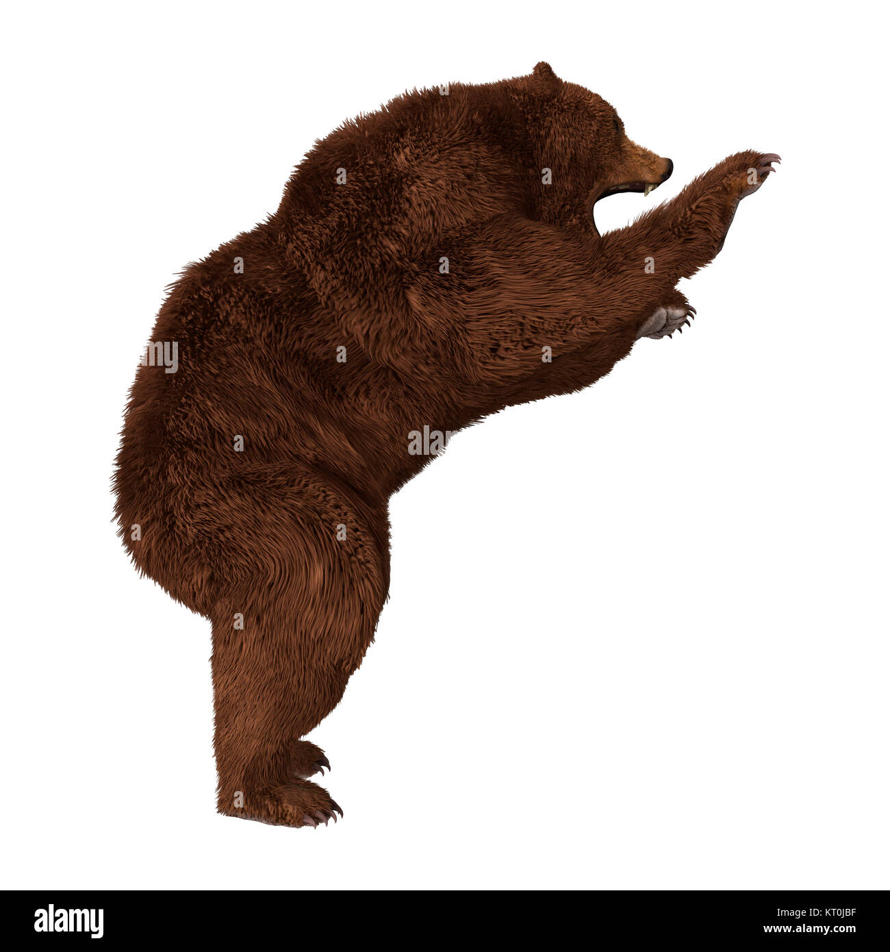 3d rendering grizzly bear hi-res stock photography and images - Alamy