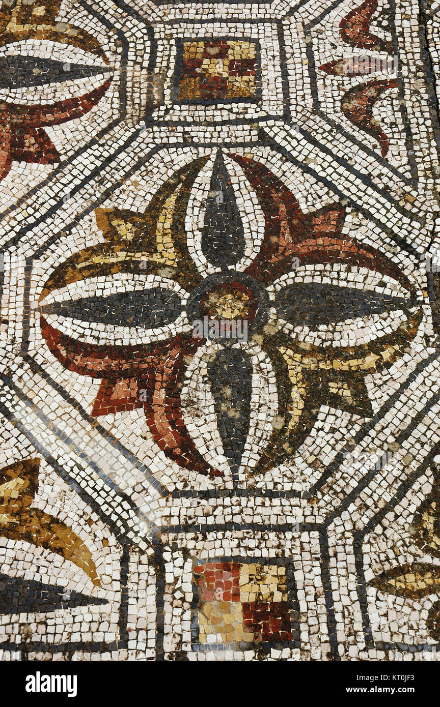 Roman Villa of Pisoes. Mosaic floor depicting geometric and ...