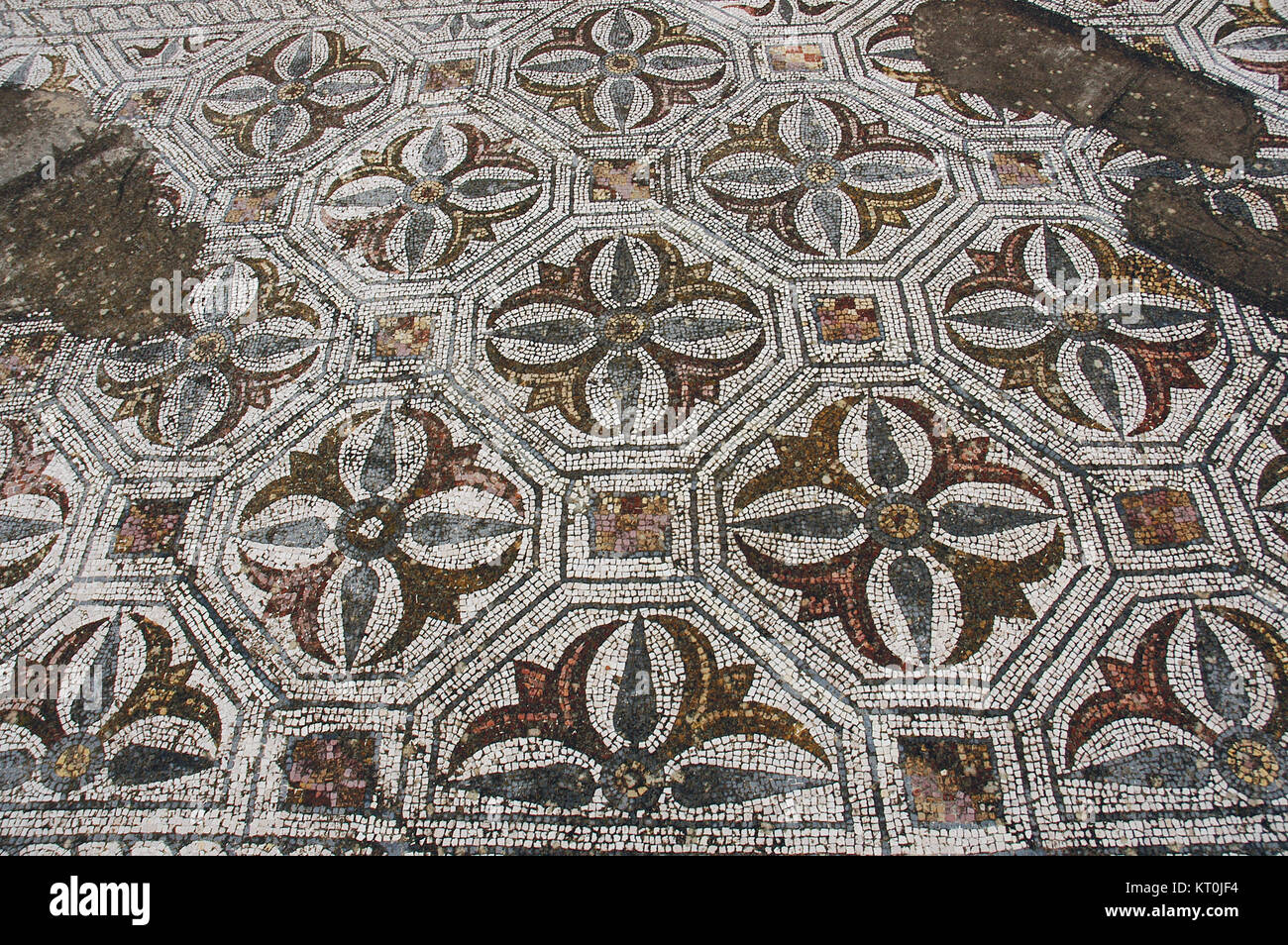 Roman Villa of Pisoes. Mosaic floor depicting geometric and ...