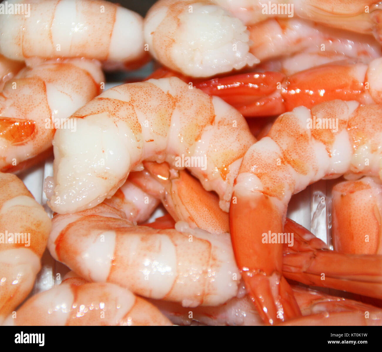 Crustaceae hi-res stock photography and images - Alamy