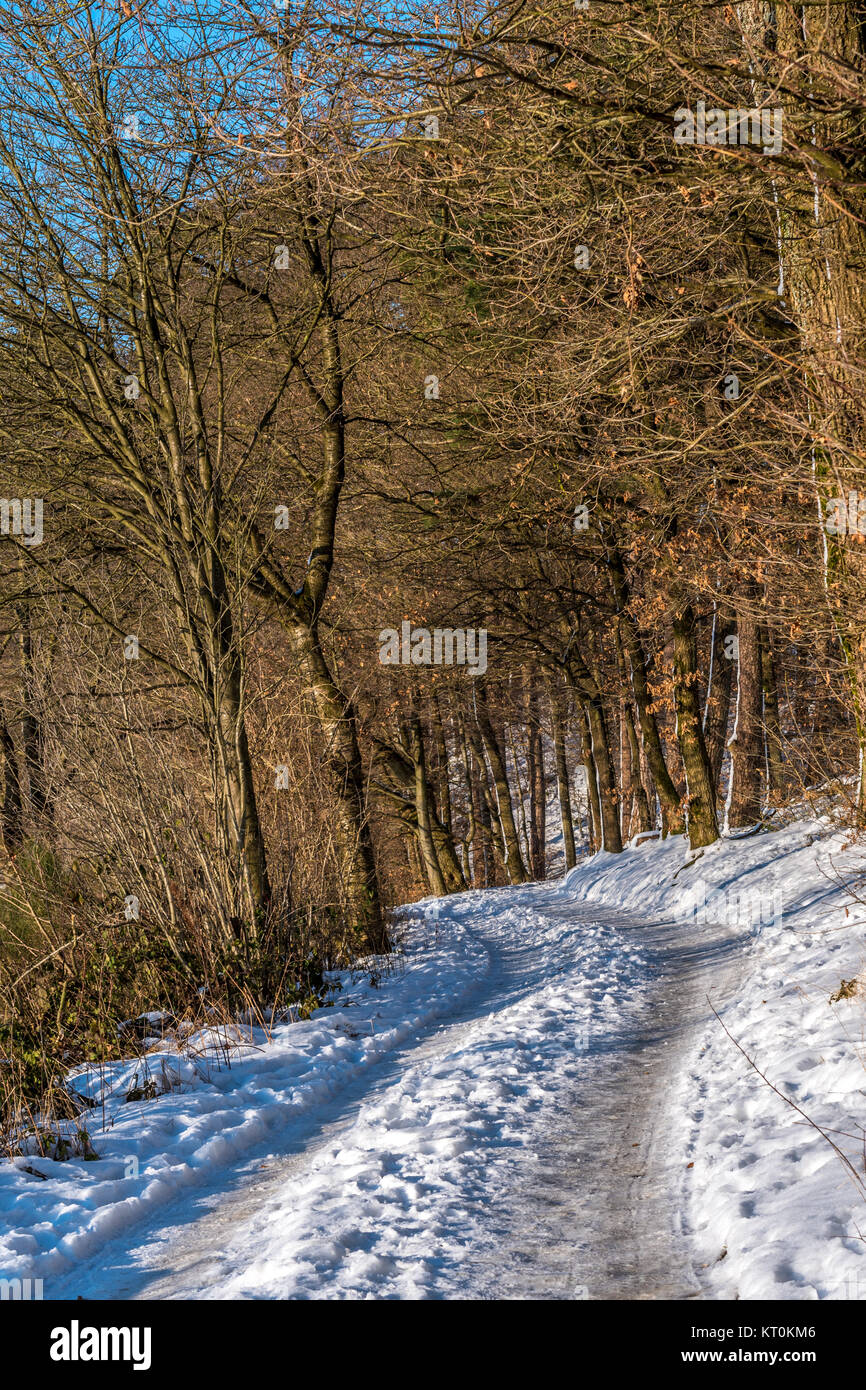 Winter landscape with snow in central Germany Stock Photo - Alamy