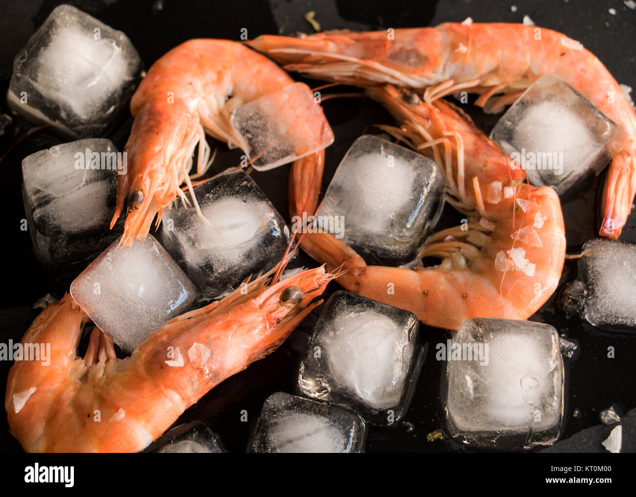 shrimp on ice Stock Photo - Alamy