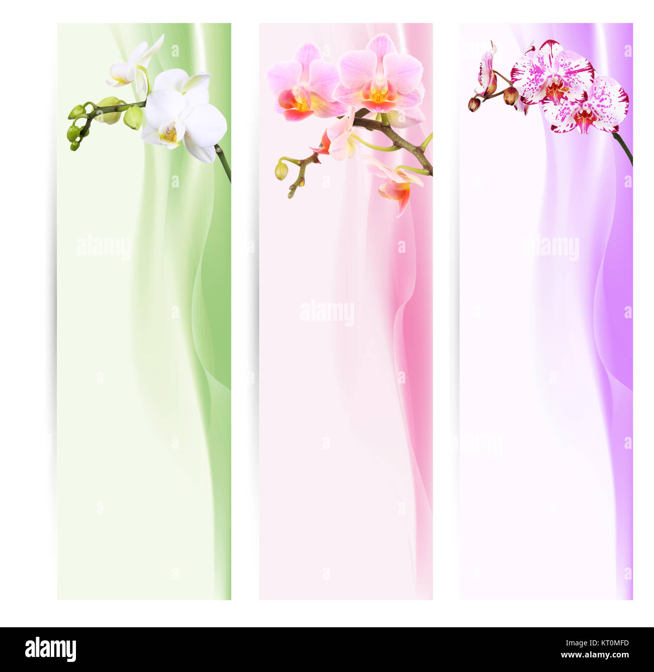 banners,bookmarks with orchids Stock Photo - Alamy
