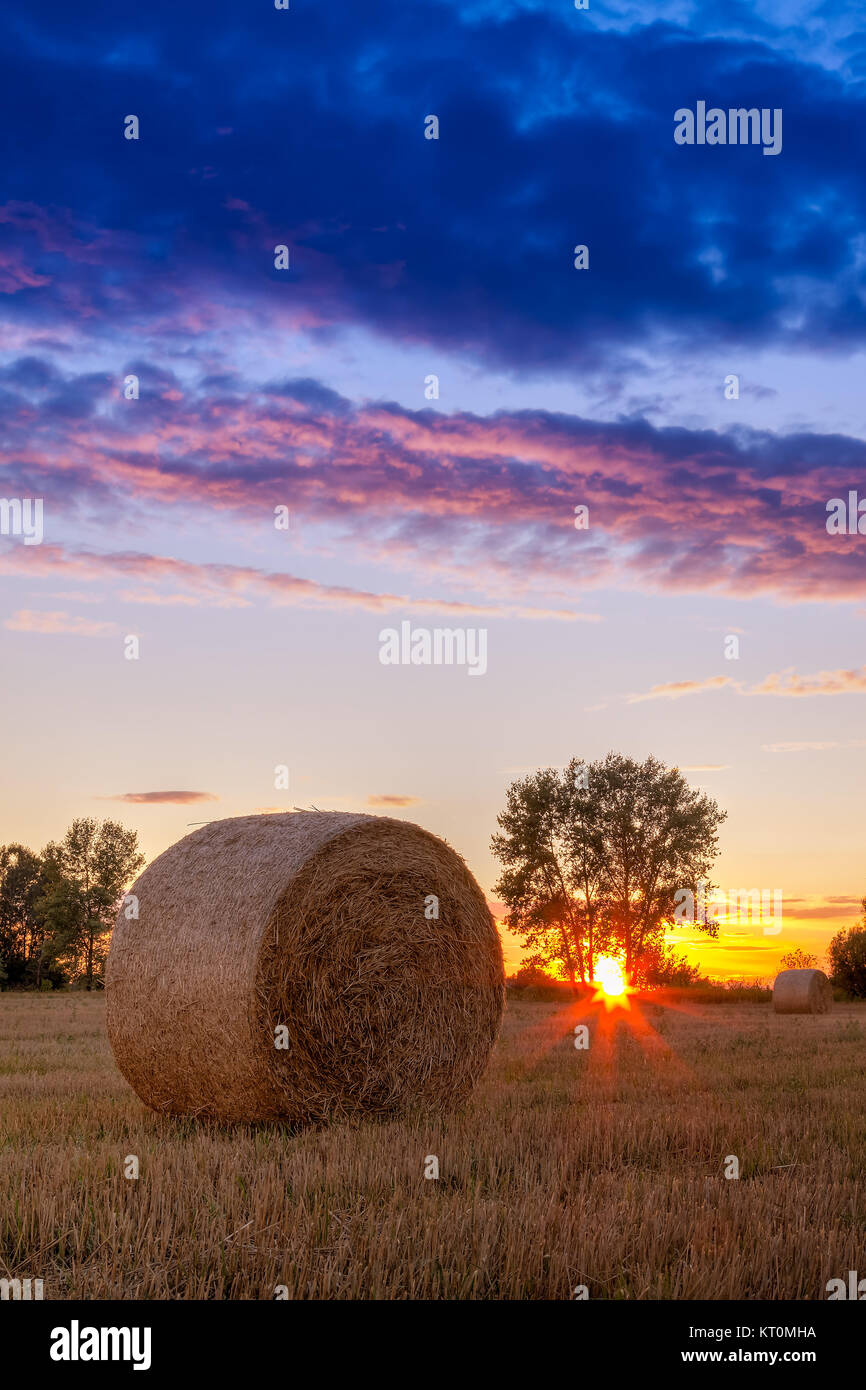 Sunset field, tree and hay bale Stock Photo - Alamy