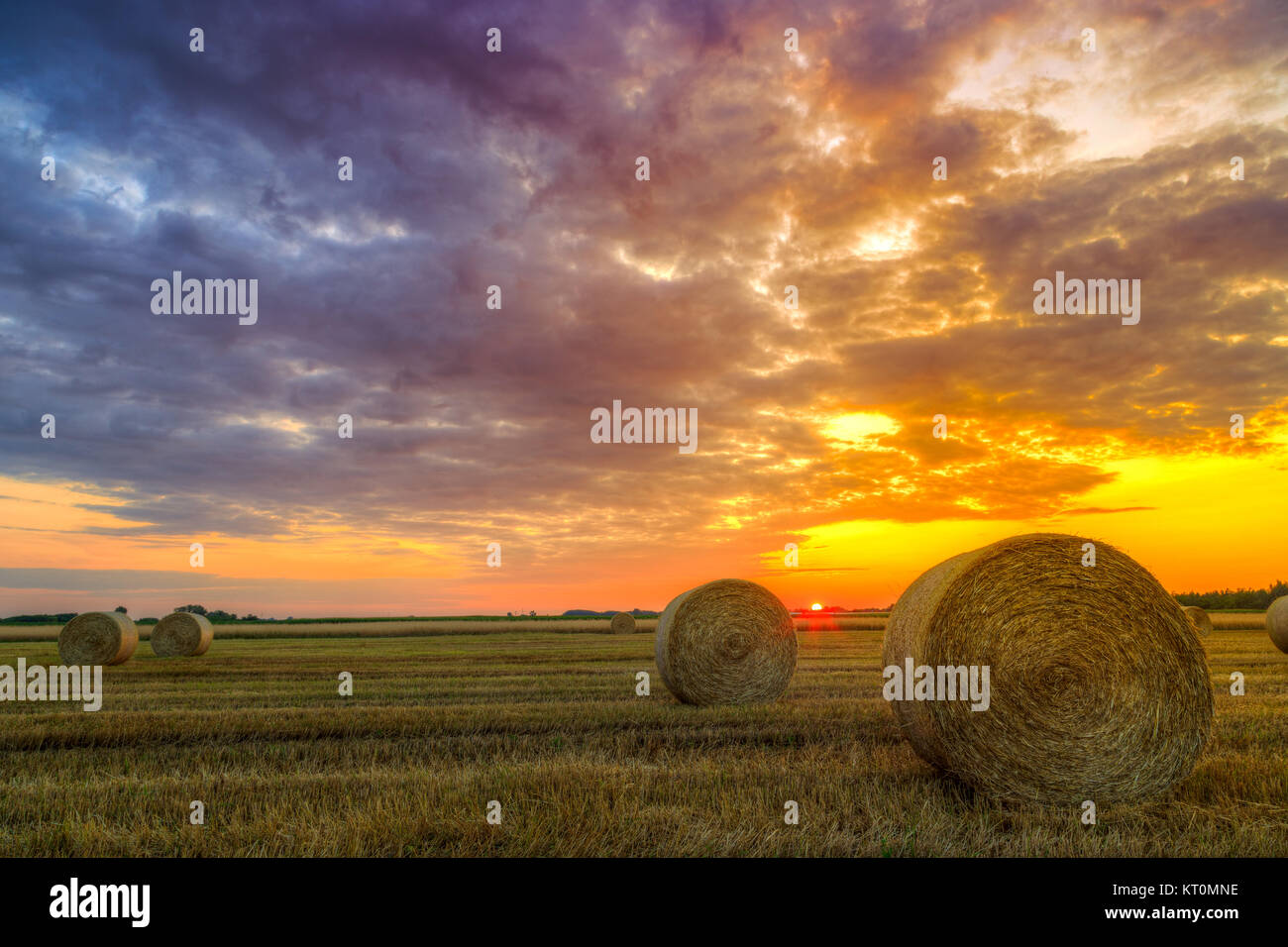 Sunset over farm field with hay bales Stock Photo - Alamy