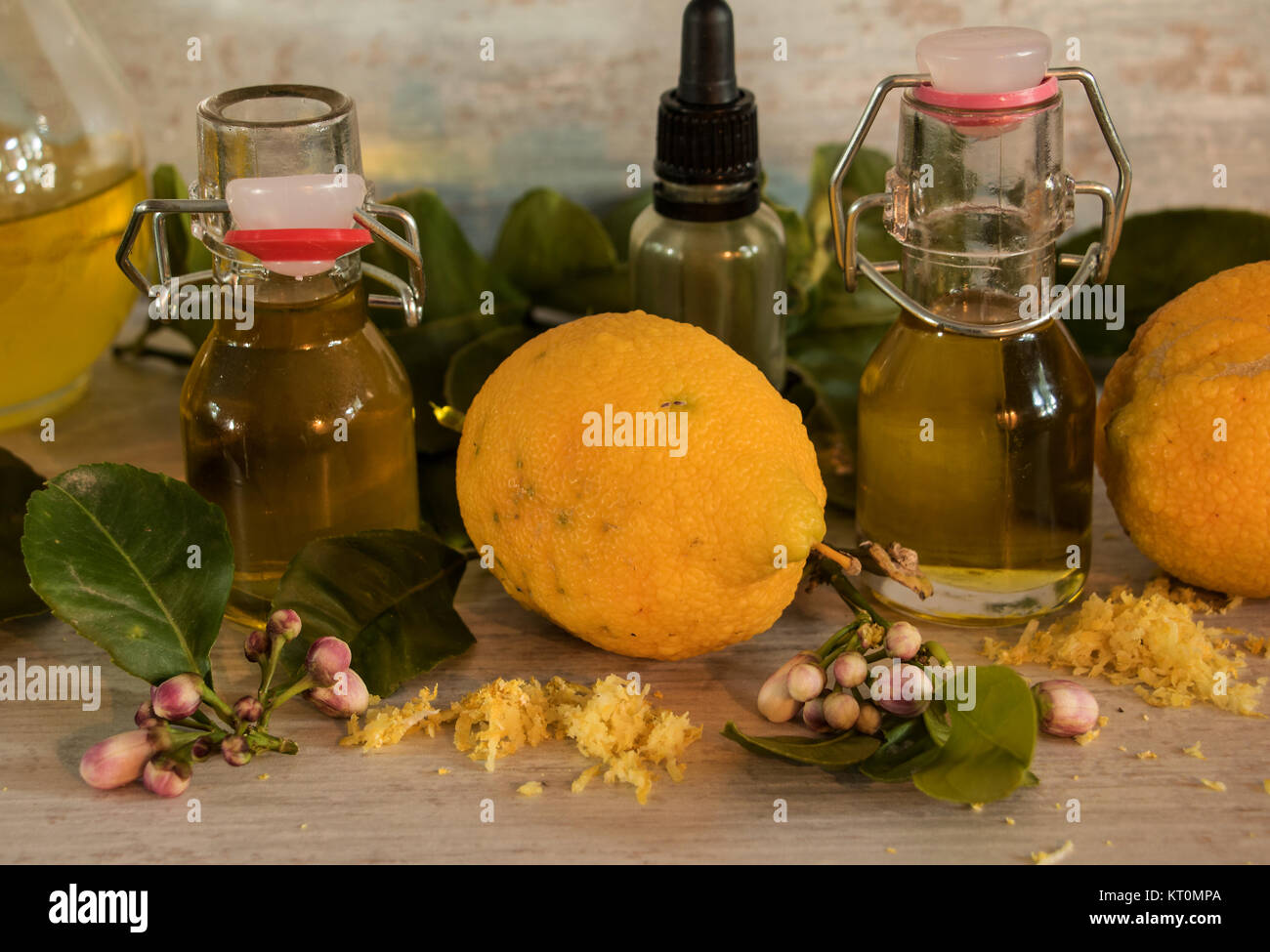bergamot for perfume extraction Stock Photo - Alamy