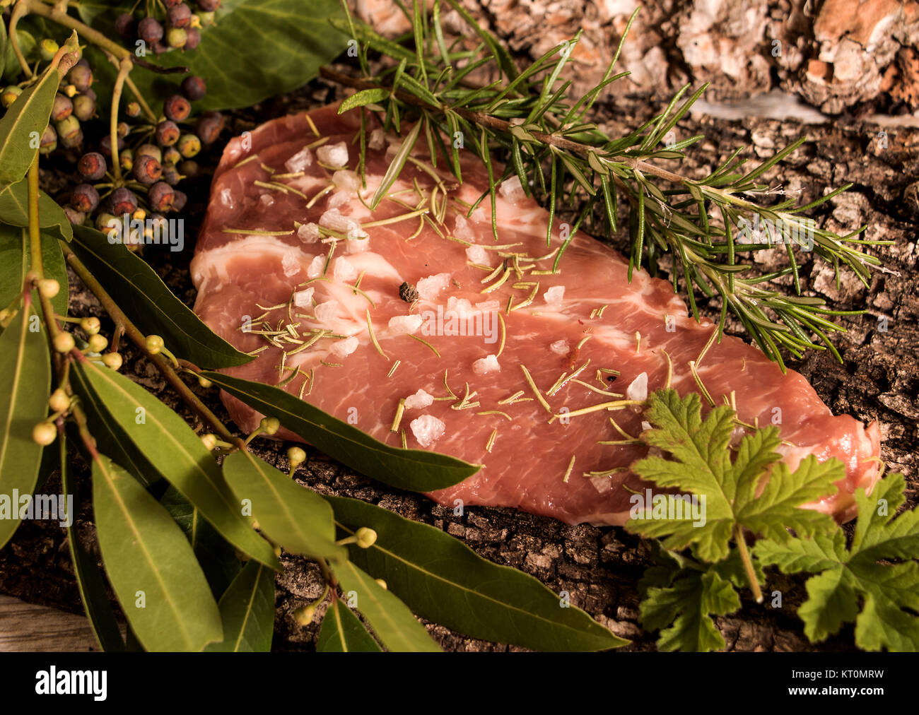 Sinewy meat hi-res stock photography and images - Alamy