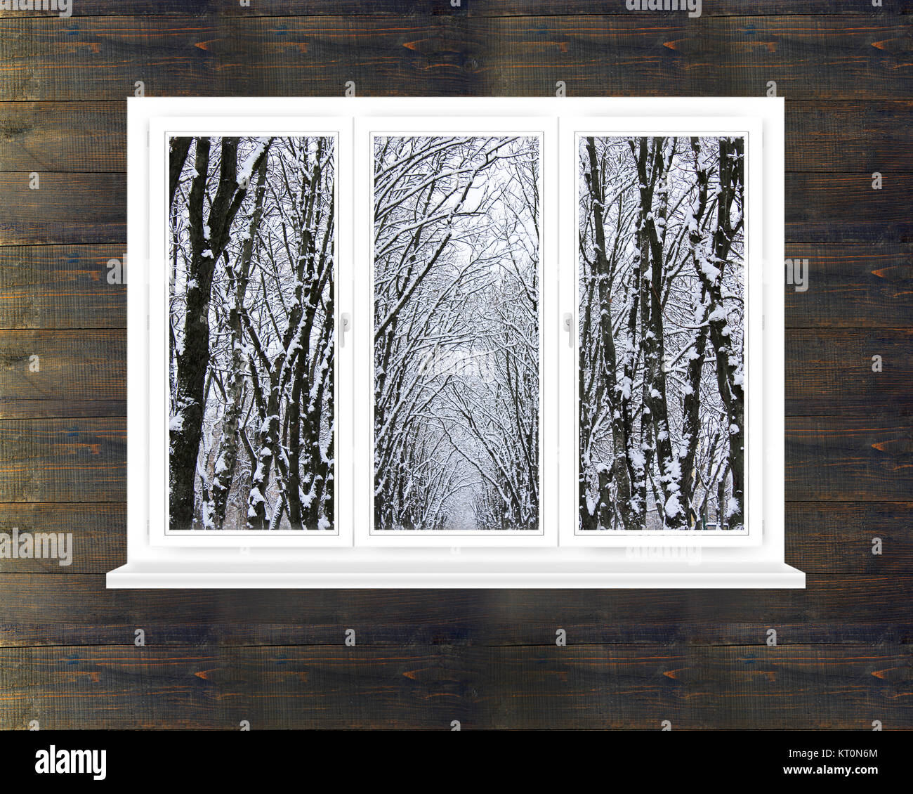 snow-clad crowns of trees in the window Stock Photo - Alamy