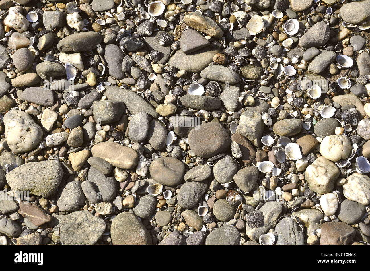 ground of our earth Stock Photo - Alamy