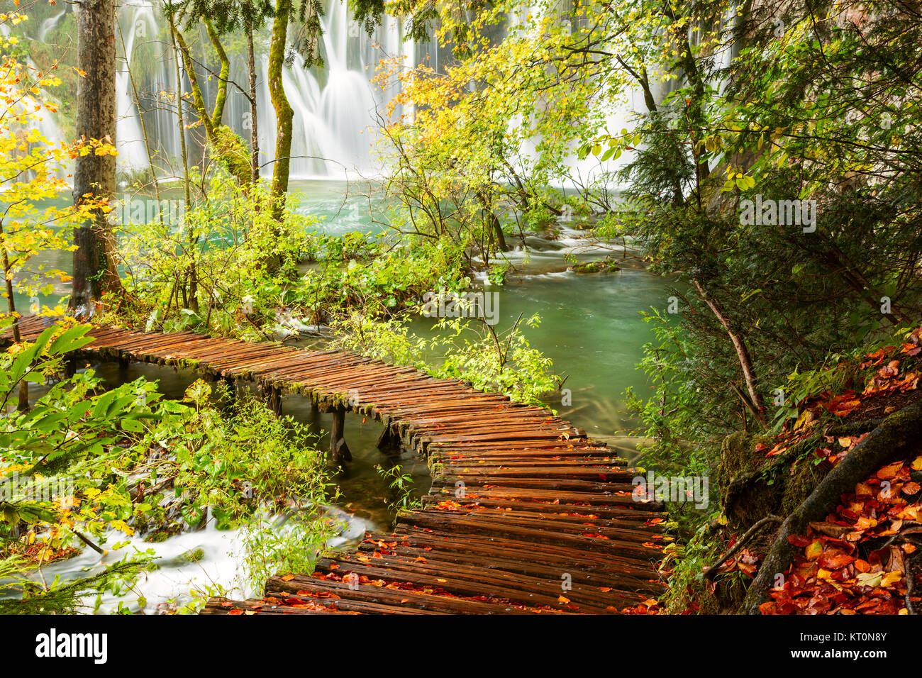 Wooden tourist path in Plitvice lakes national park Stock Photo - Alamy