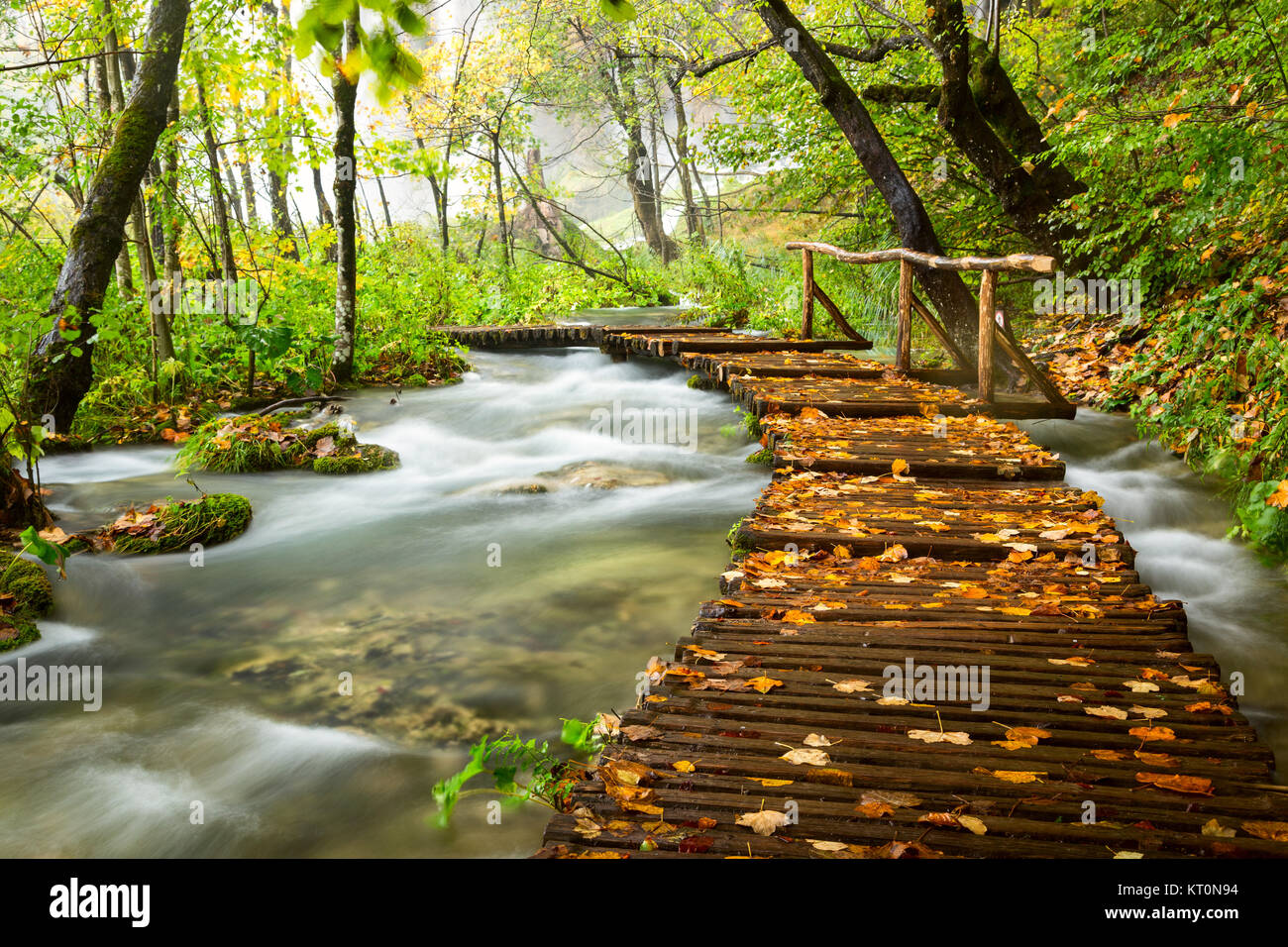 Wooden tourist path in Plitvice lakes national park Stock Photo - Alamy