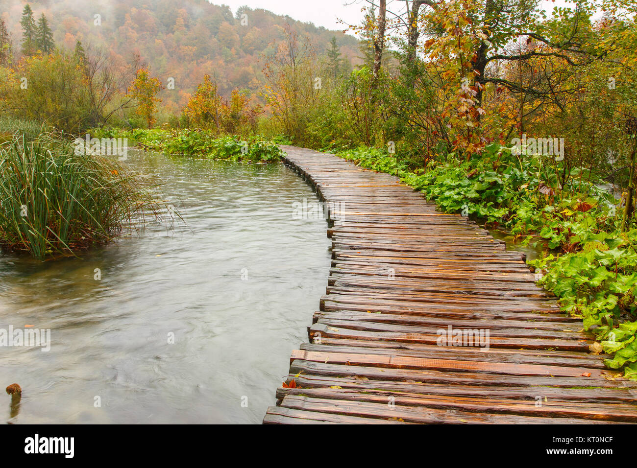 Wooden tourist path in Plitvice lakes national park Stock Photo - Alamy