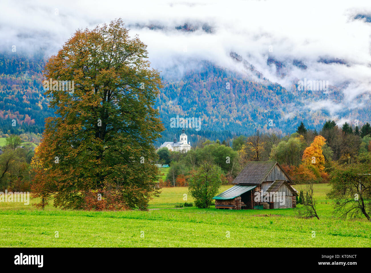 Idyllic landscape in the Alps Stock Photo - Alamy