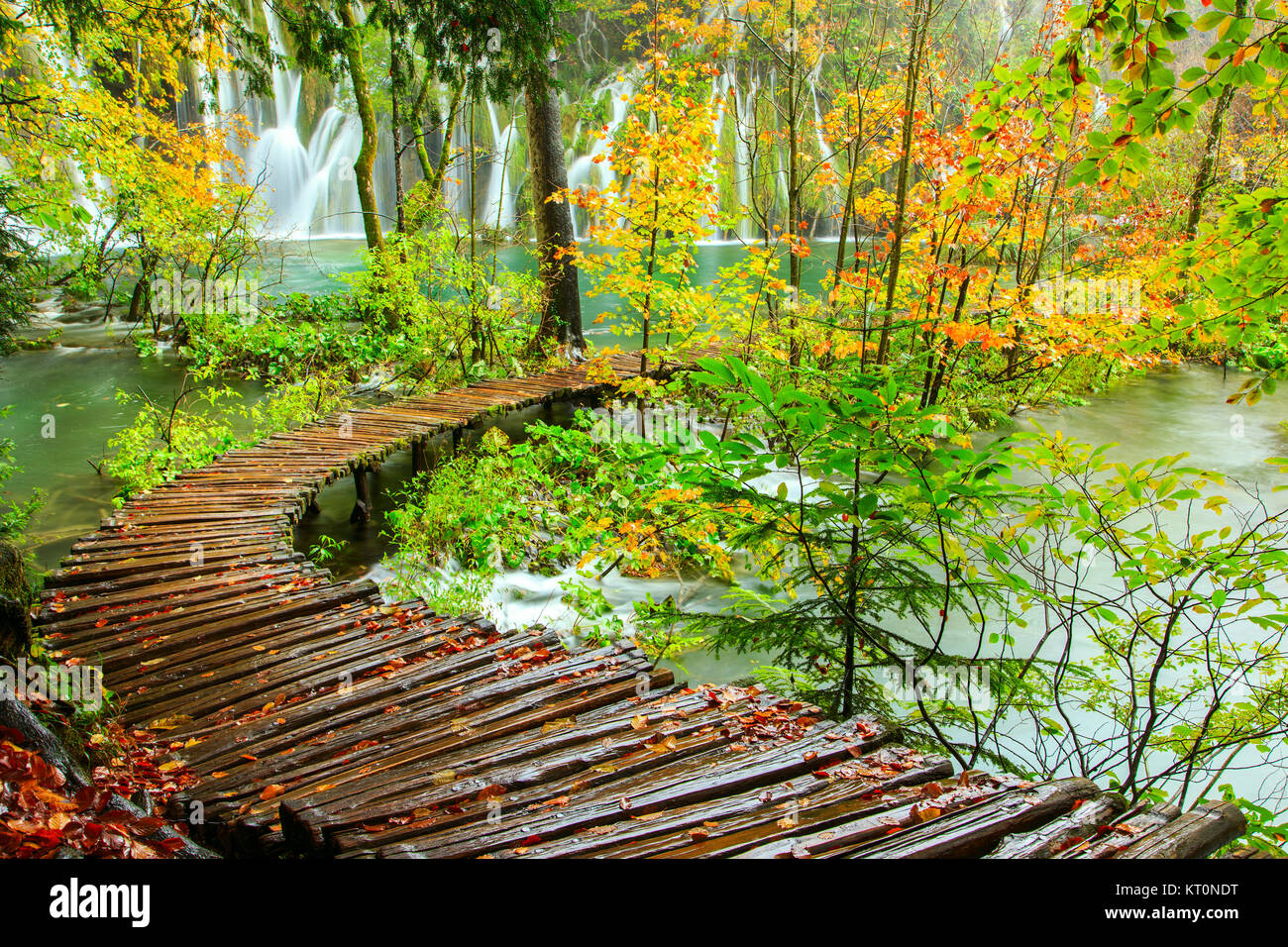 Wooden tourist path in Plitvice lakes national park Stock Photo - Alamy