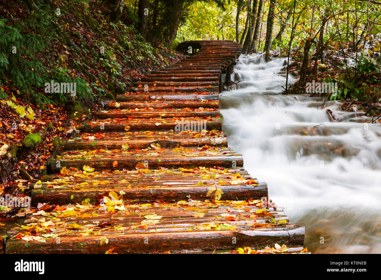 Wooden tourist path in Plitvice lakes national park Stock Photo - Alamy