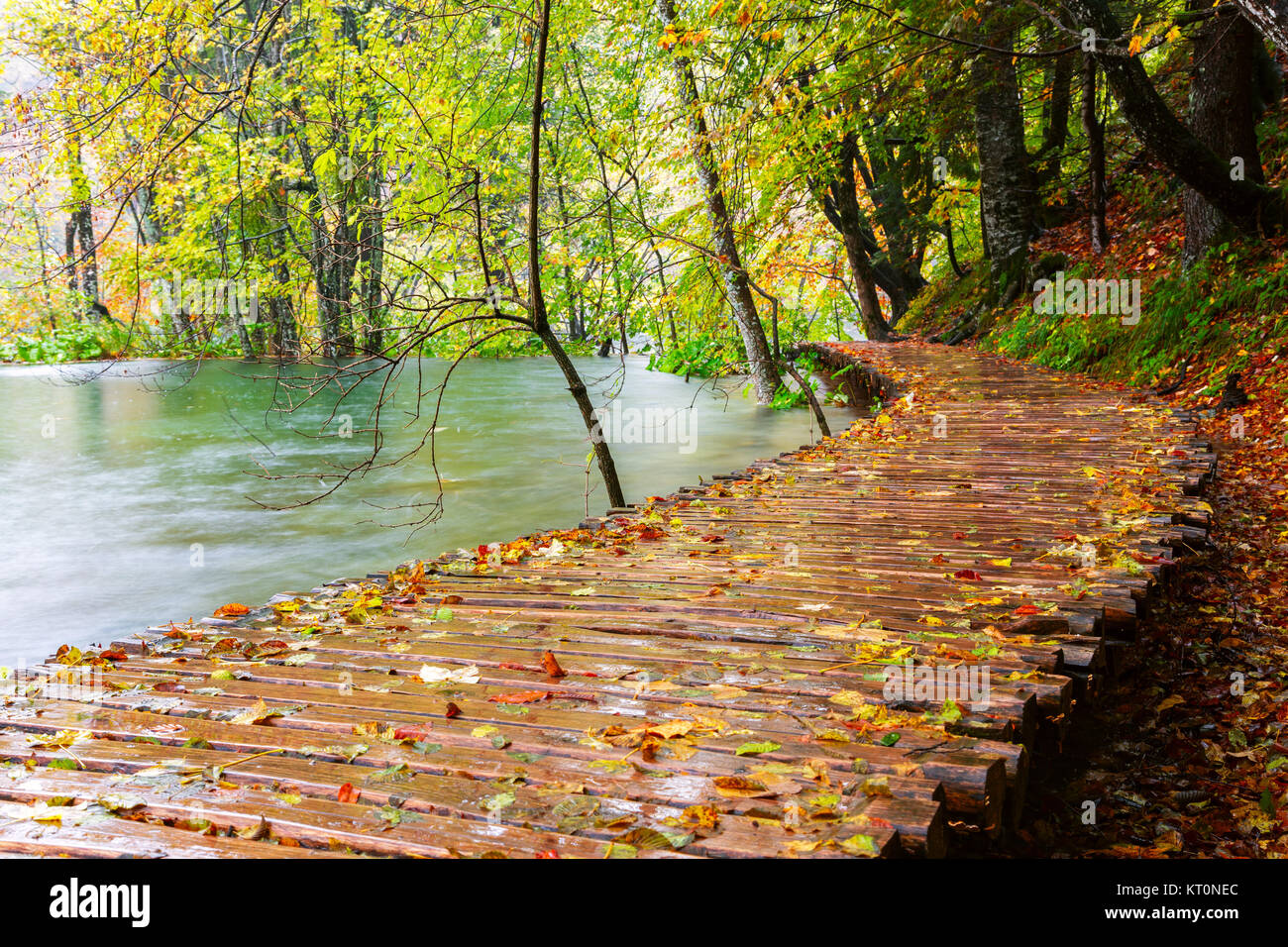 Wooden tourist path in Plitvice lakes national park Stock Photo - Alamy