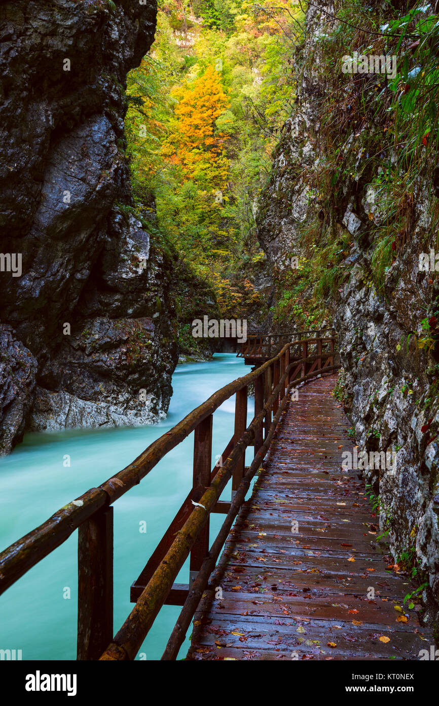 Vintgar gorge and wooden path near Bled Stock Photo - Alamy