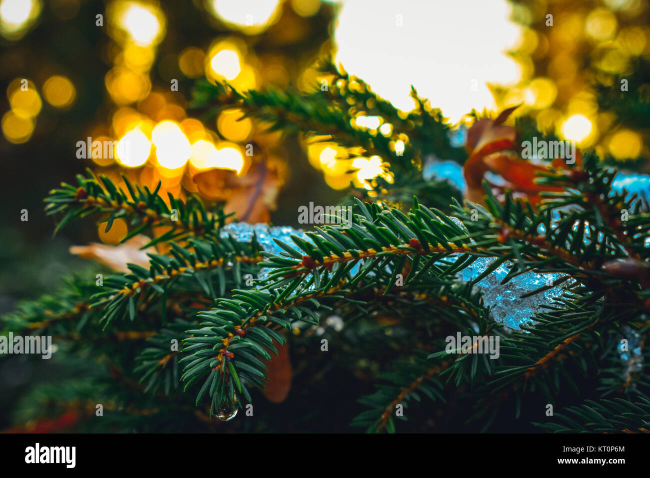 First snow in kyiv hi-res stock photography and images - Alamy