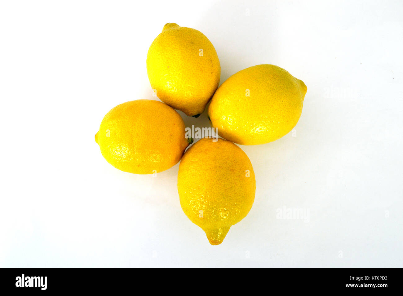 Vector lemons hi-res stock photography and images - Alamy