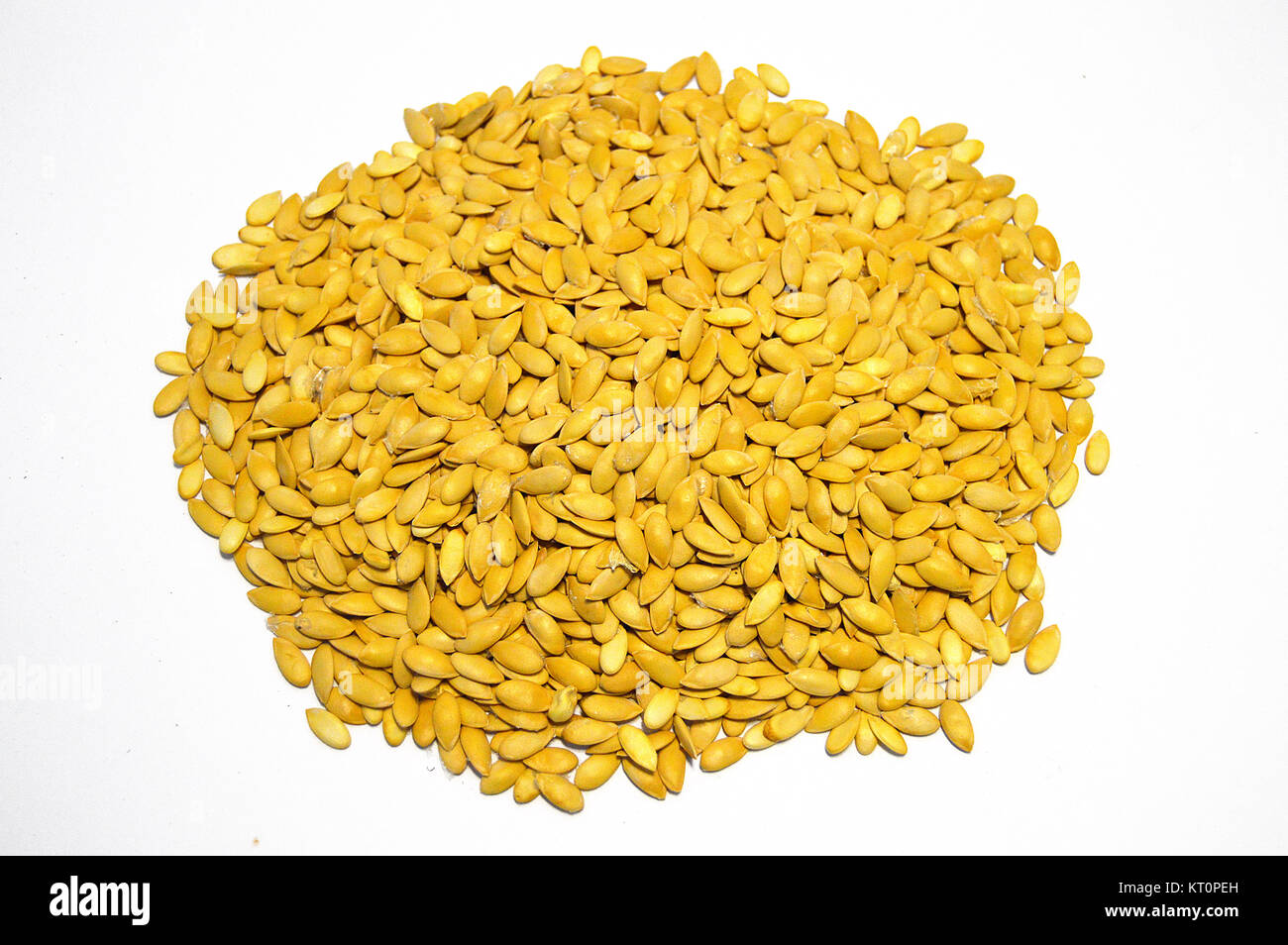 Images of melon seeds for seed and garden sites Stock Photo - Alamy