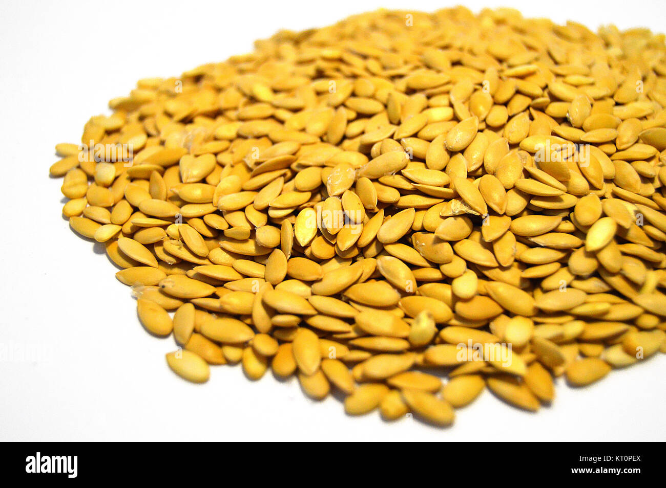 Images of melon seeds for seed and garden sites Stock Photo - Alamy