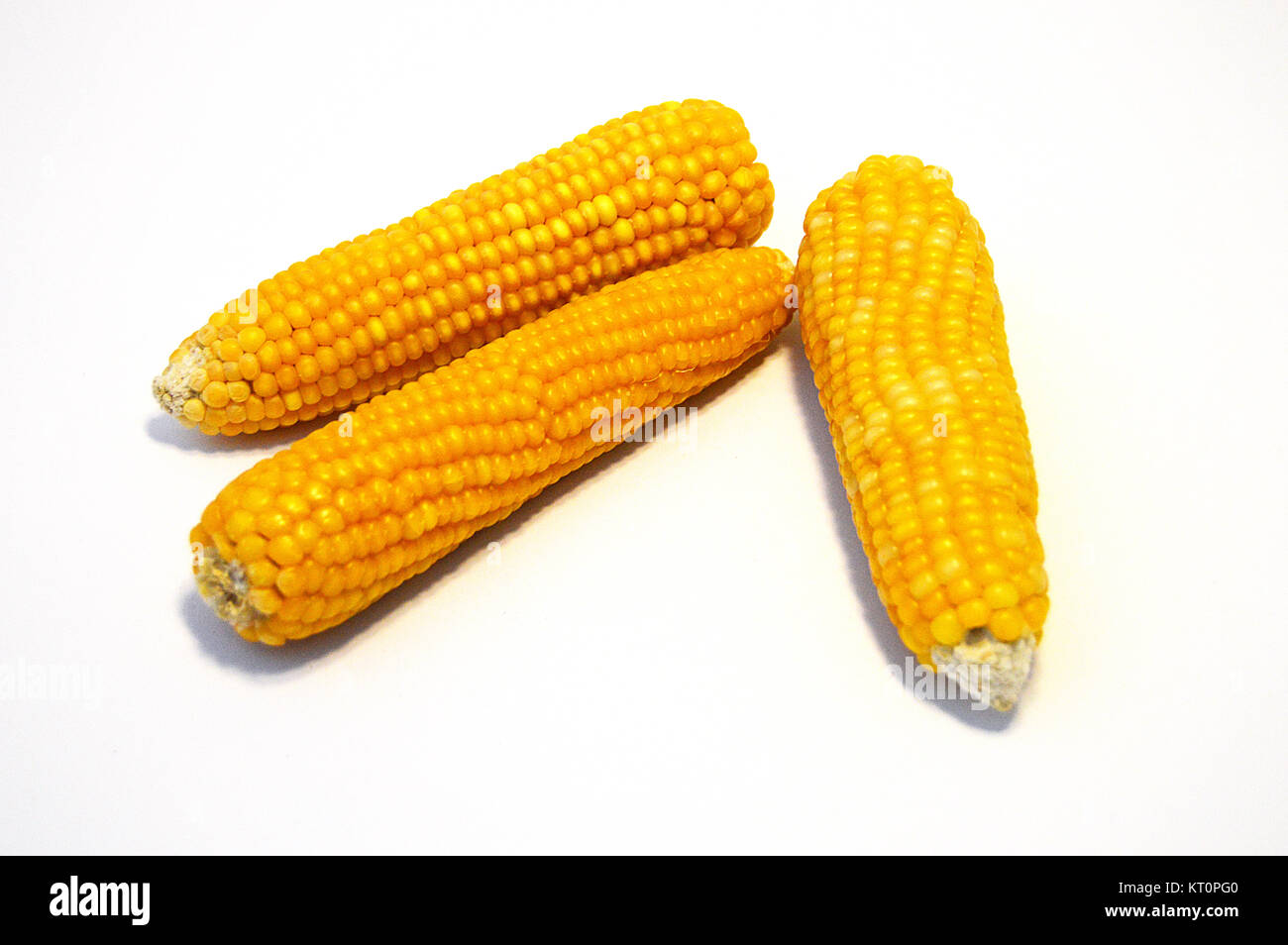 The new corn pictures Stock Photo - Alamy