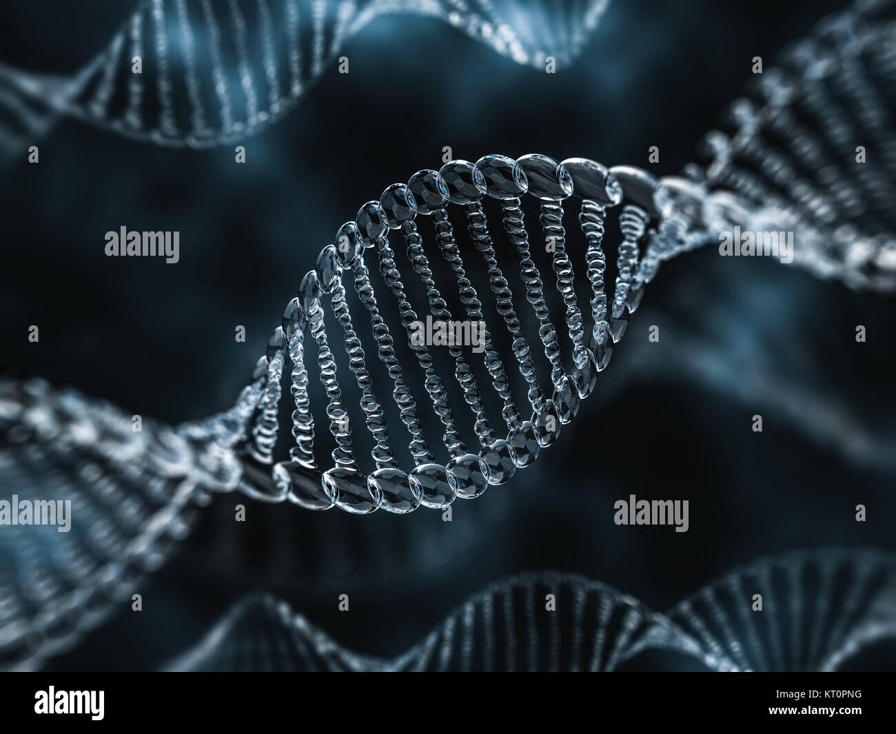 Dna model hi-res stock photography and images - Alamy
